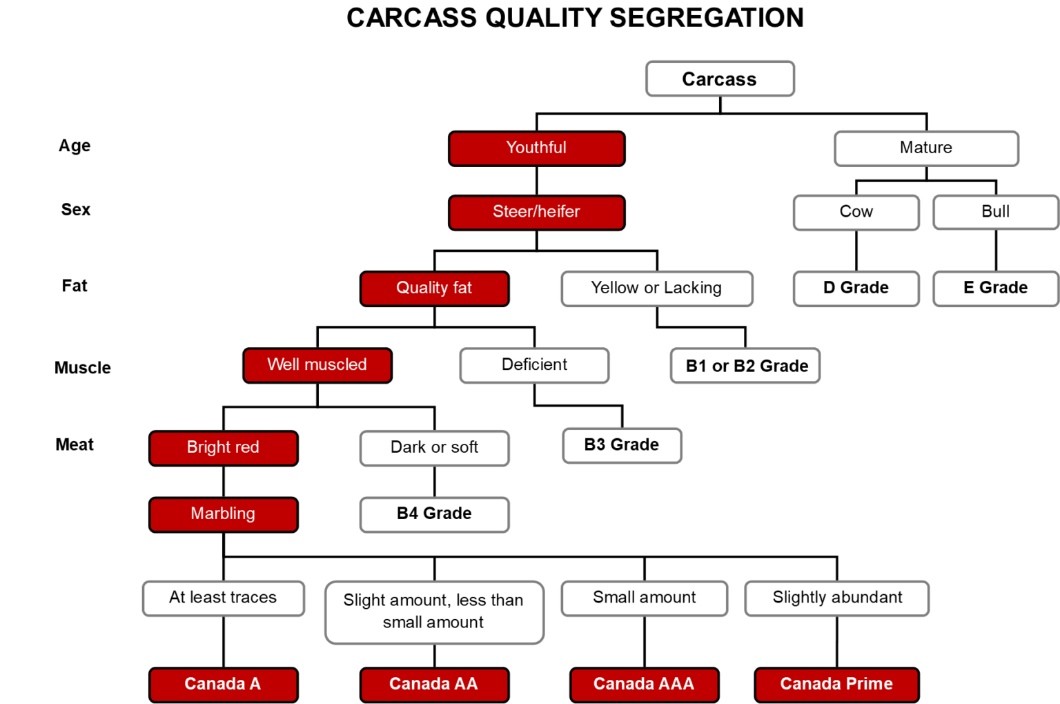 6 Beef Grading Systems In the World (with Complete Chart)