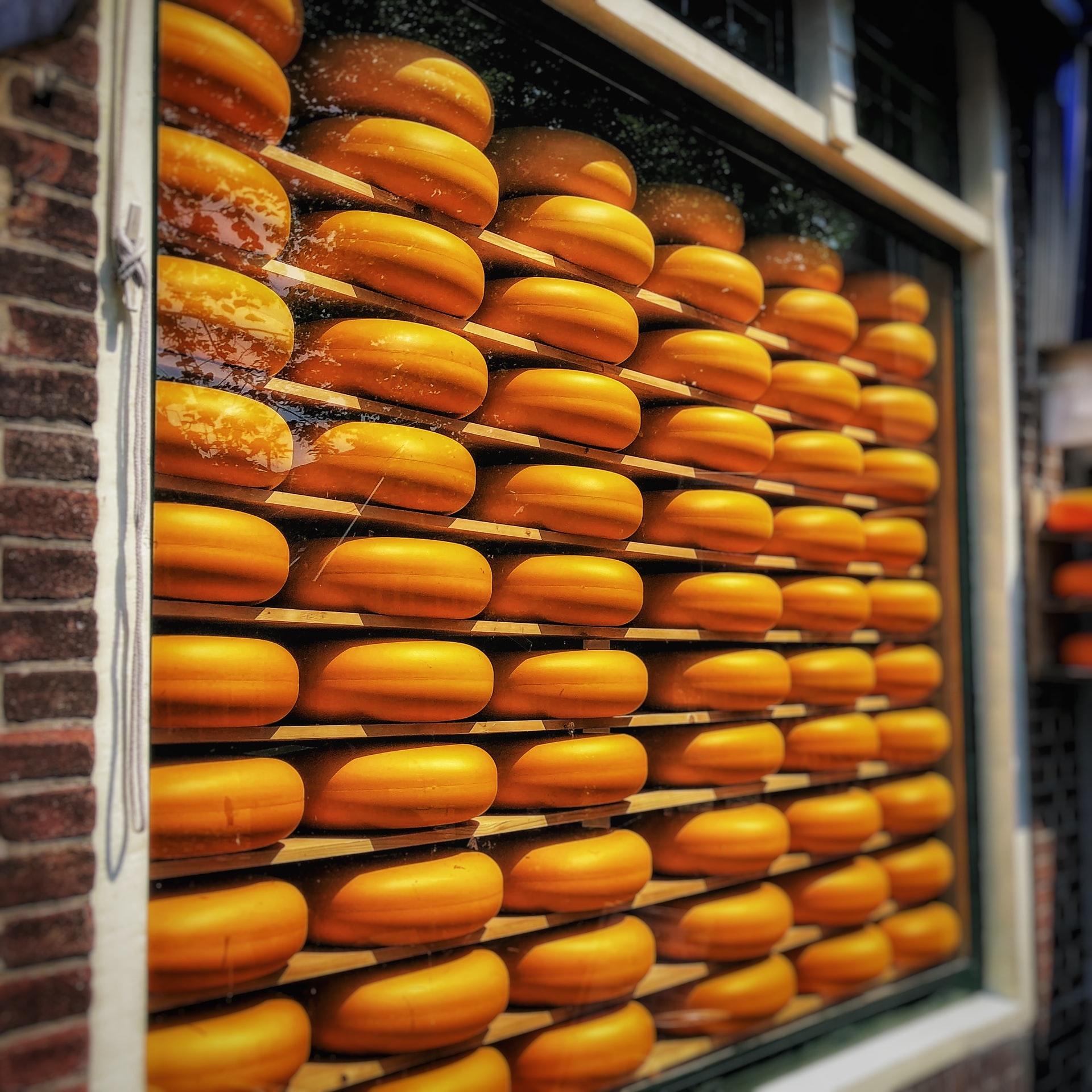 How Cheese Is Made Step by Step? | Cheese 101